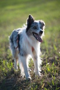 Official Sweat Play PDF - Download Now